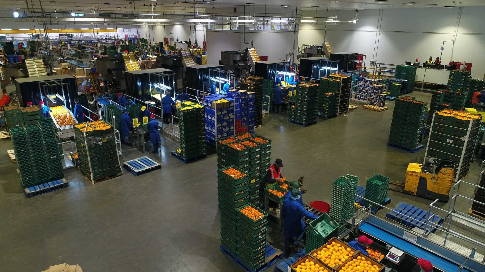 Turners Pre Pack Logistic (PPL)